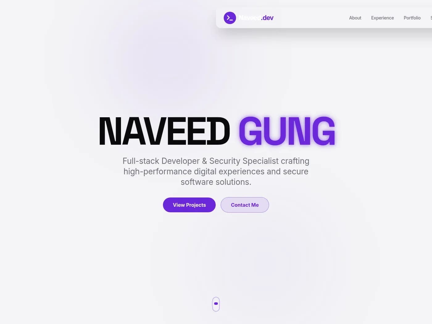 Naveed Gung 3D Portfolio