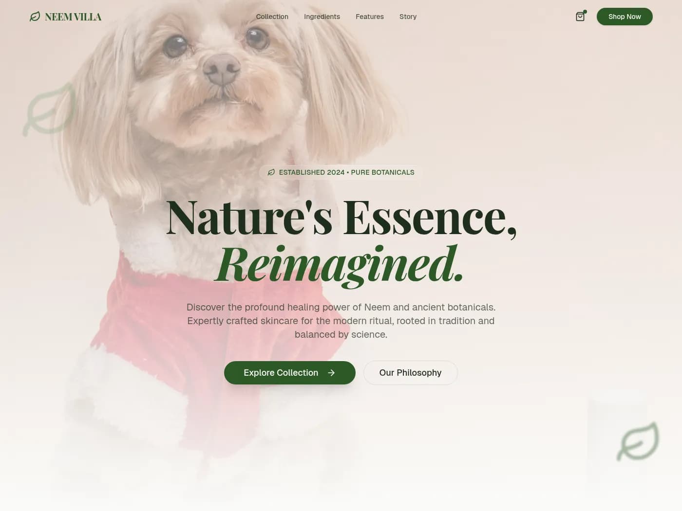 Neem Villa Cosmetics