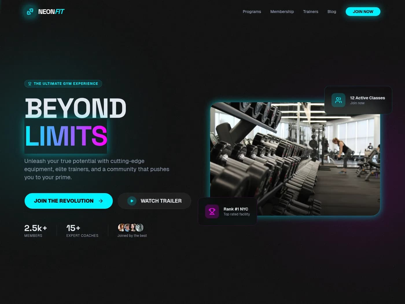 NeonFit Gym Website