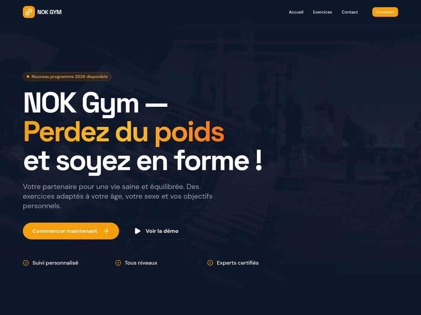 NOK Gym Fitness Hub