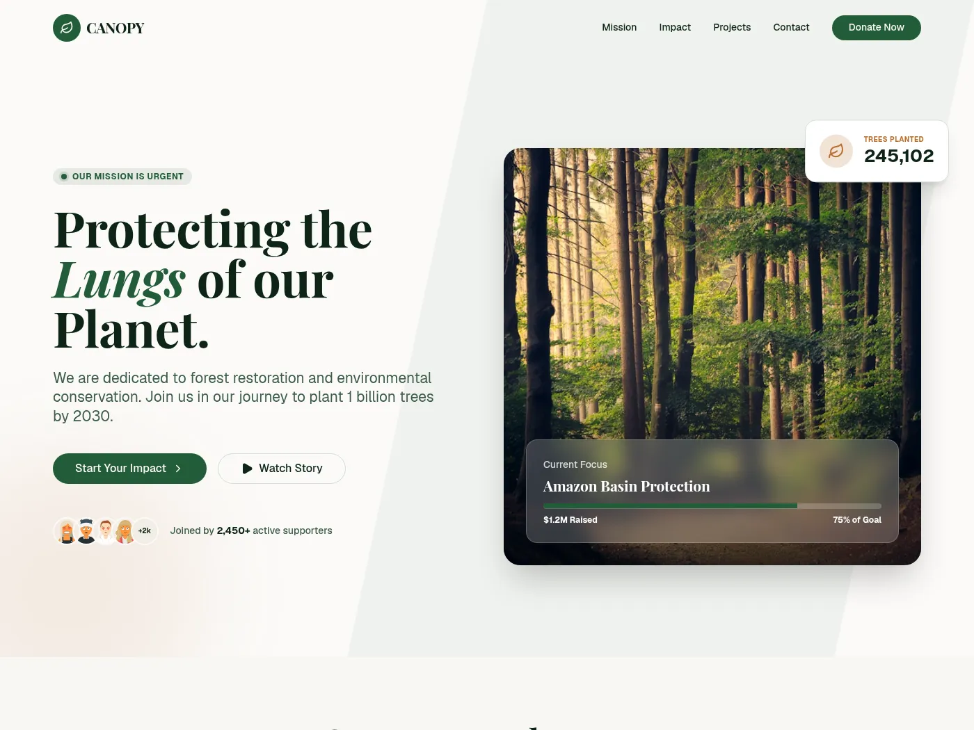 Nonprofit Impact Site