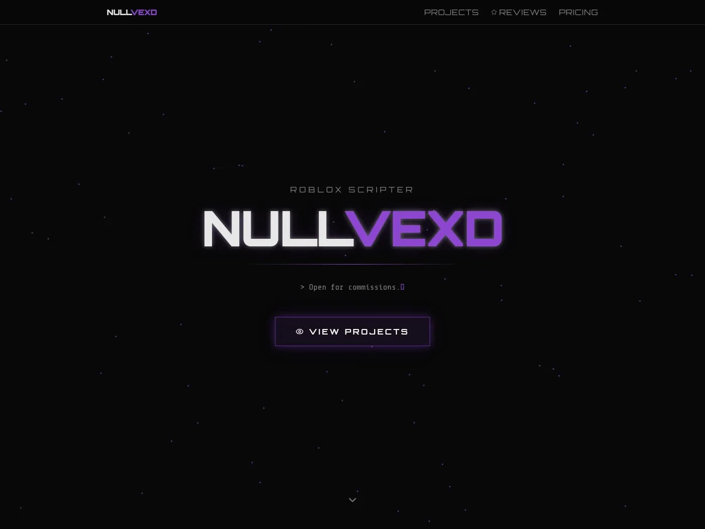Nullvexd Portfolio