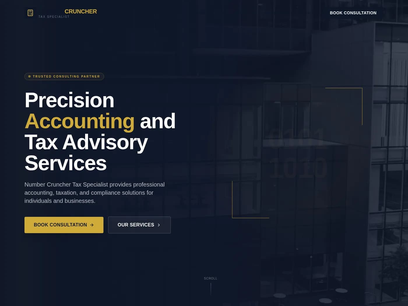 Number Cruncher Consulting Site