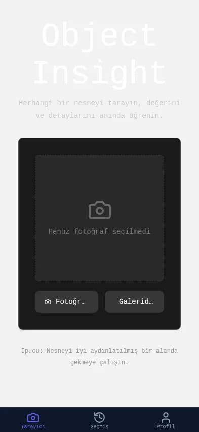 Object Insight Scanner
