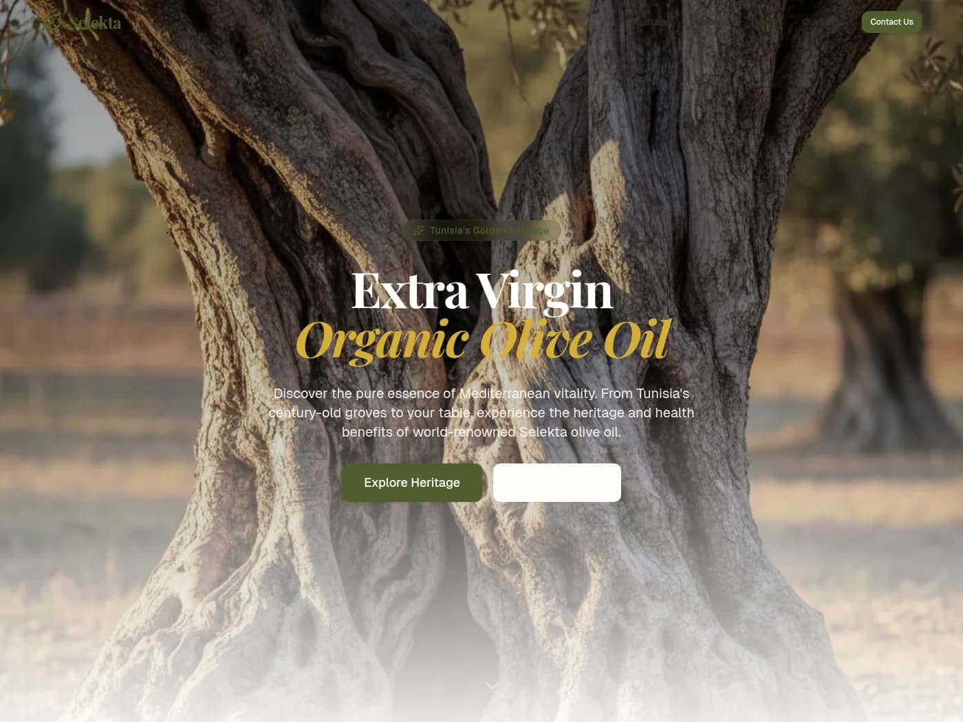 Selekta Olive Oil Showcase