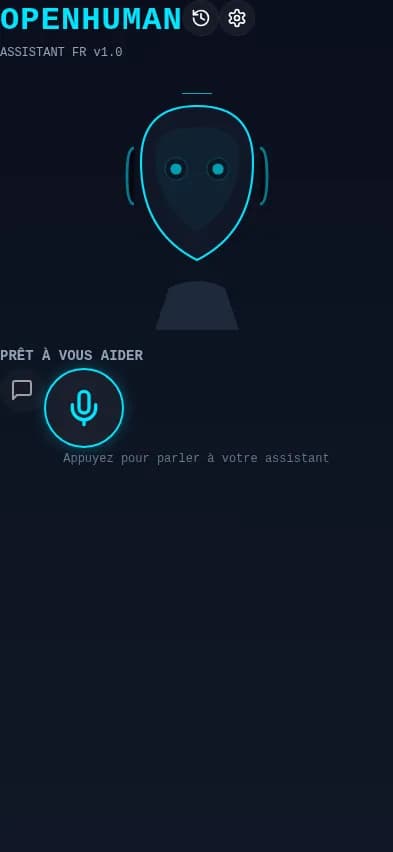 OpenHuman FR Assistant