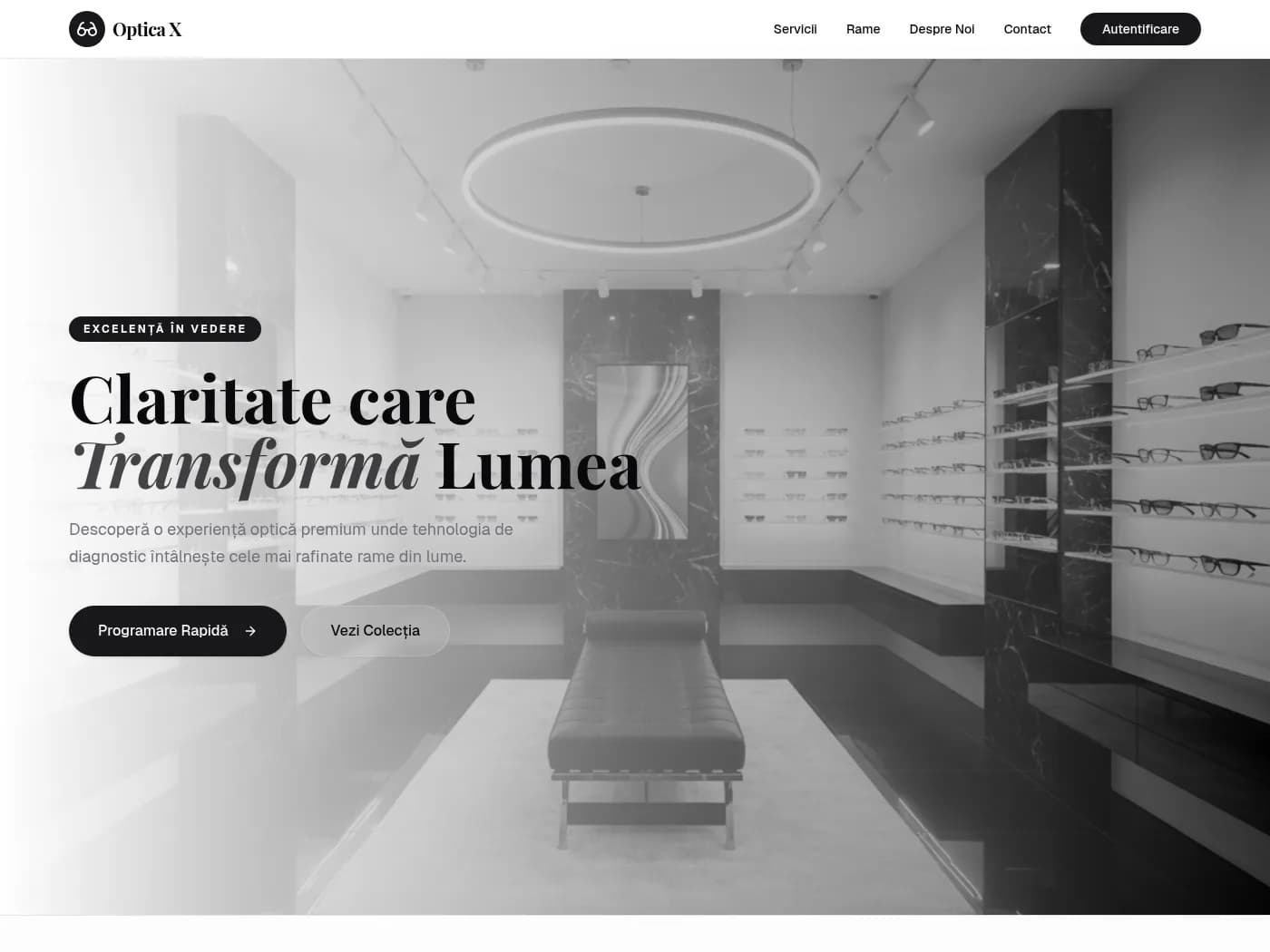 Optica X Presentation Site