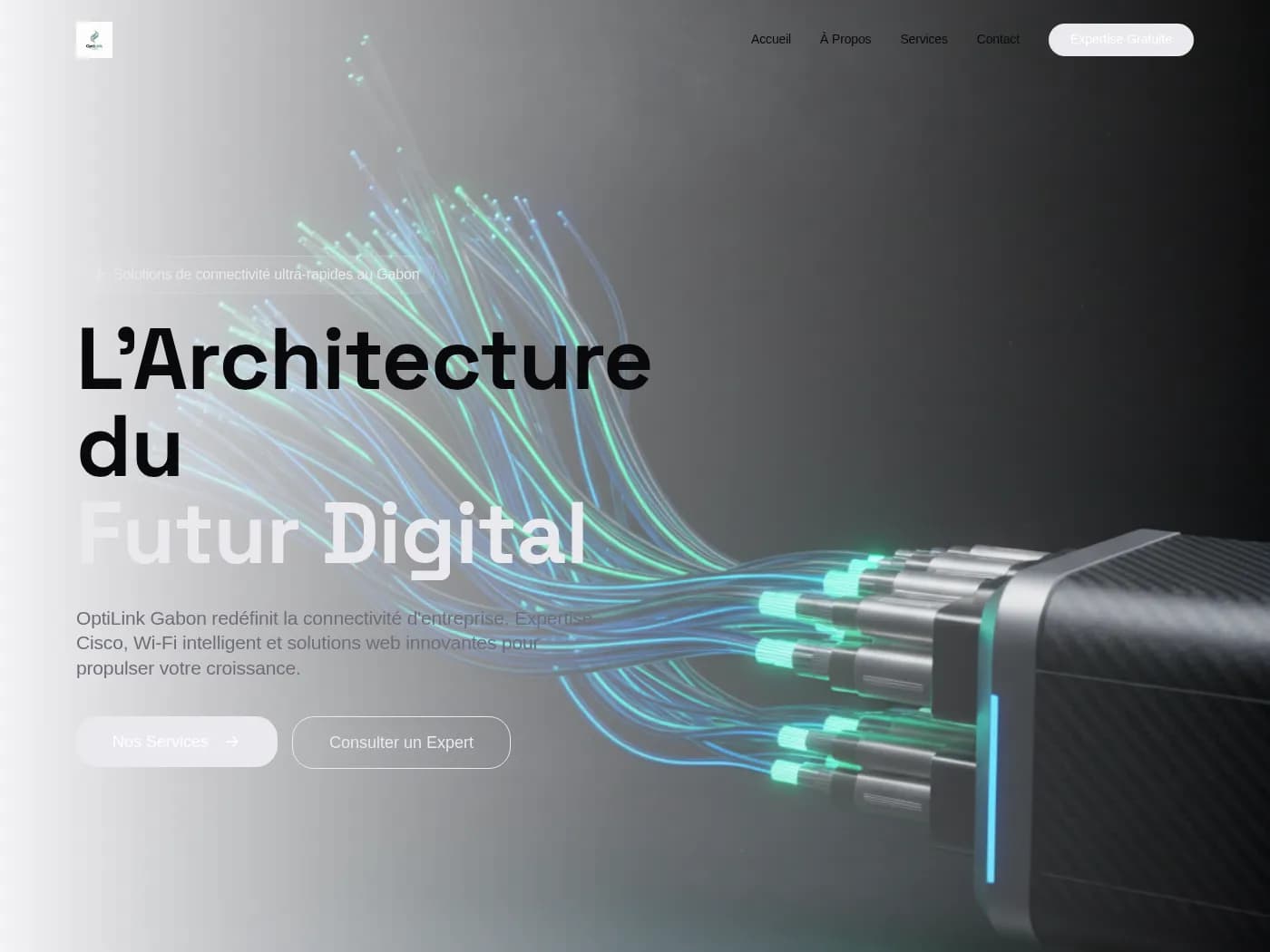 OptiLink Gabon Web