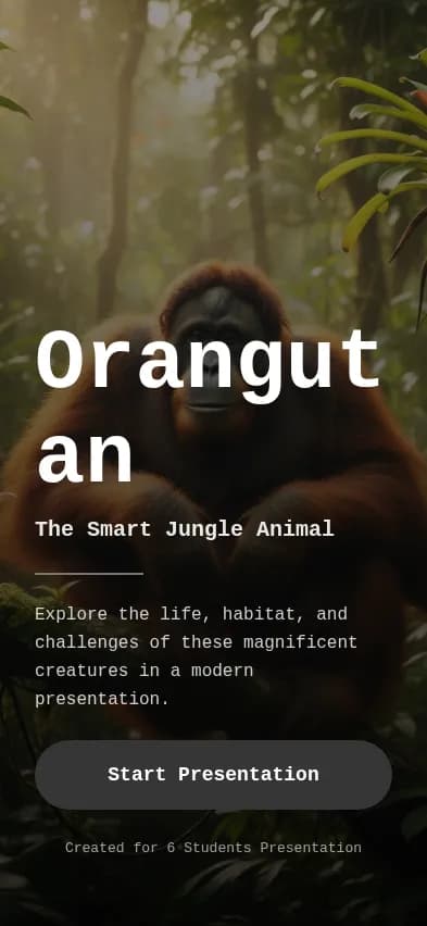Orangutan Wonder Presentation