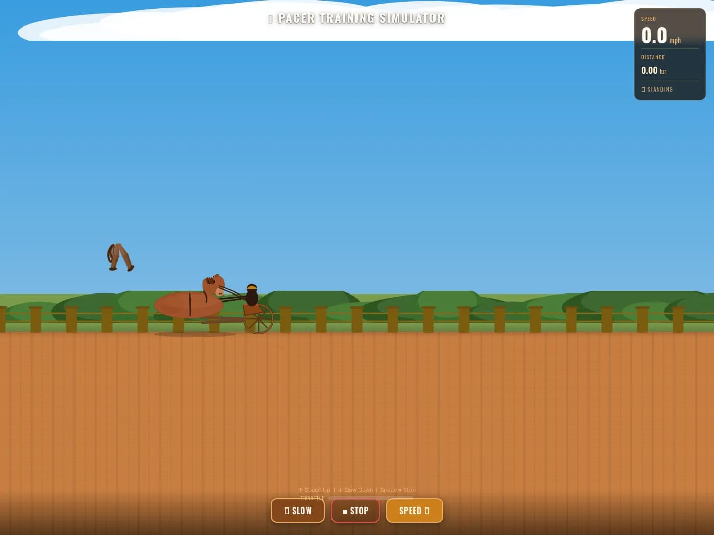 Pacer Training Simulator