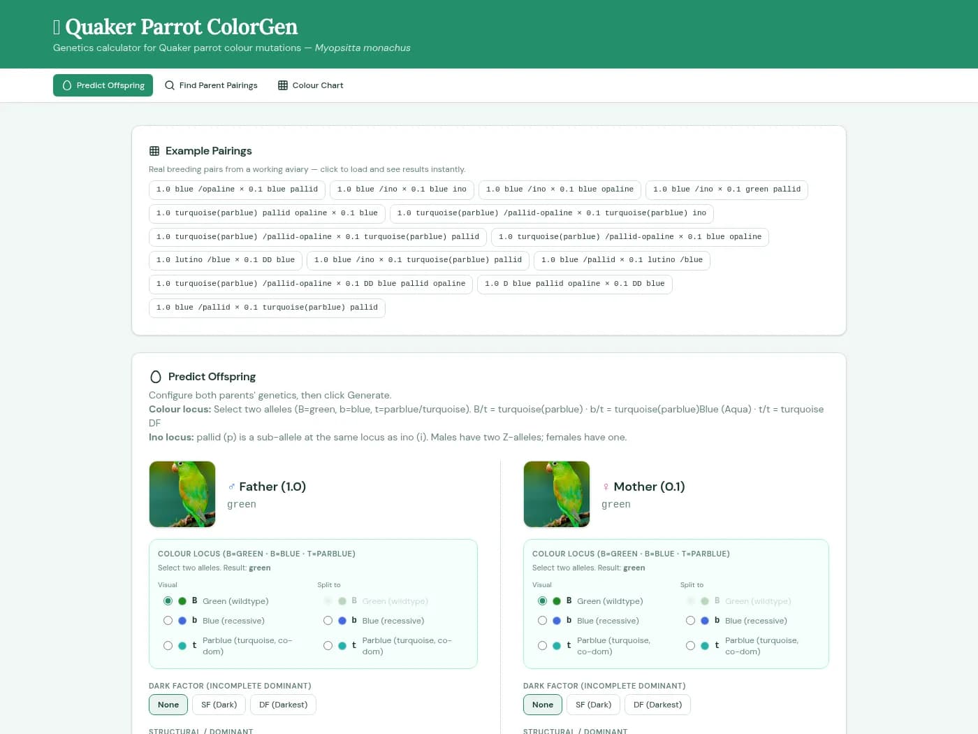 Quaker Parrot ColorGen