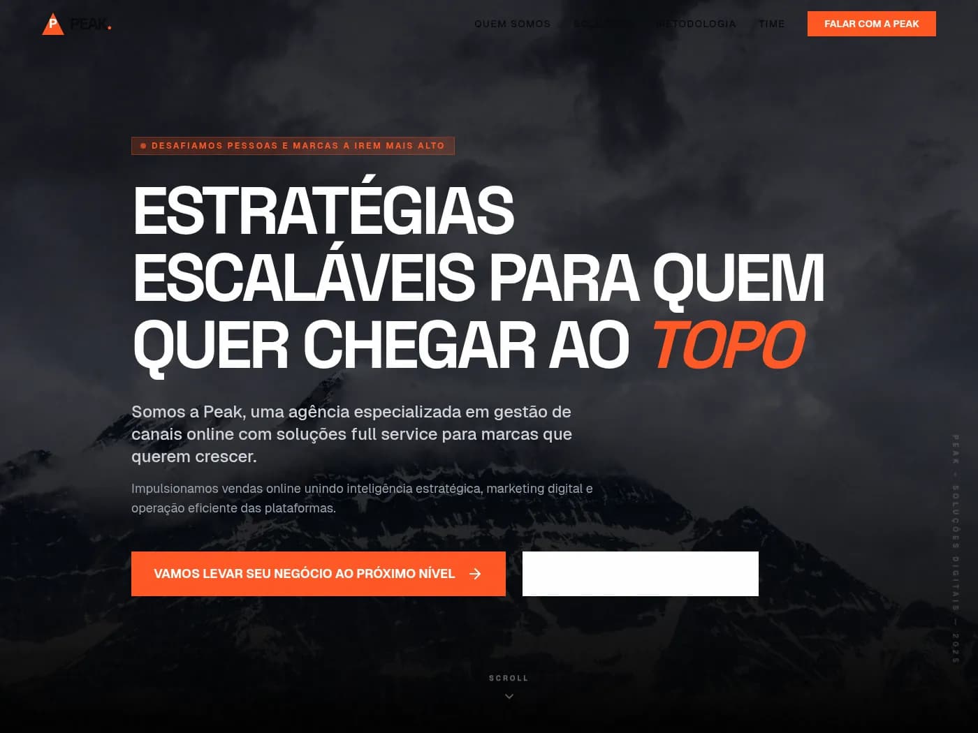 Peak Agency Website