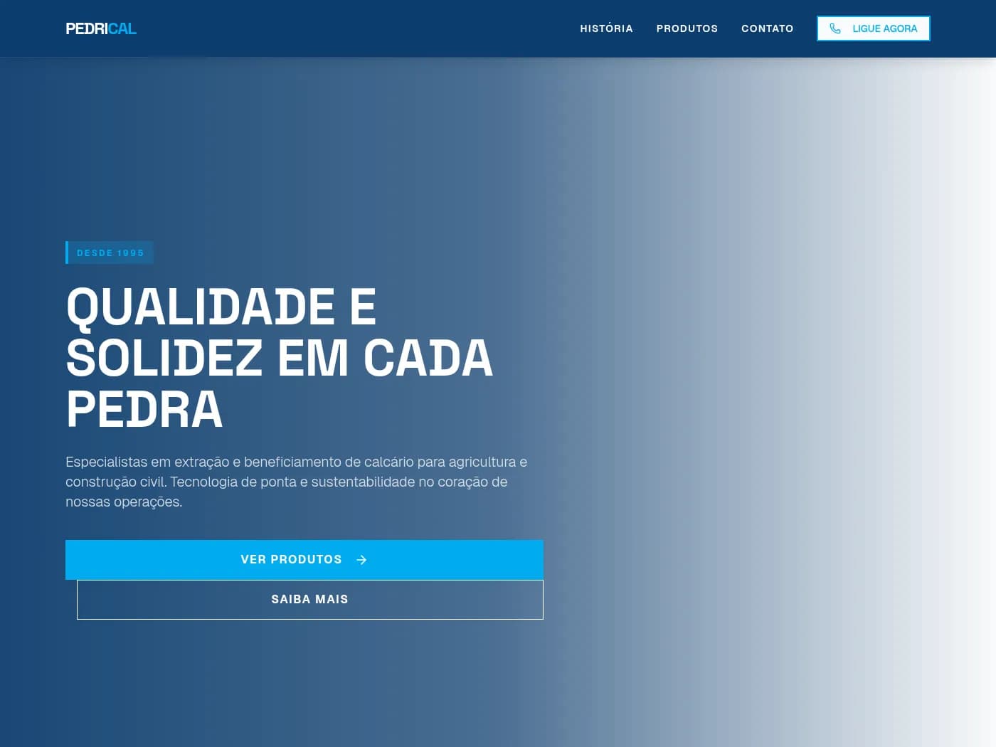 PEDRICAL Company Site