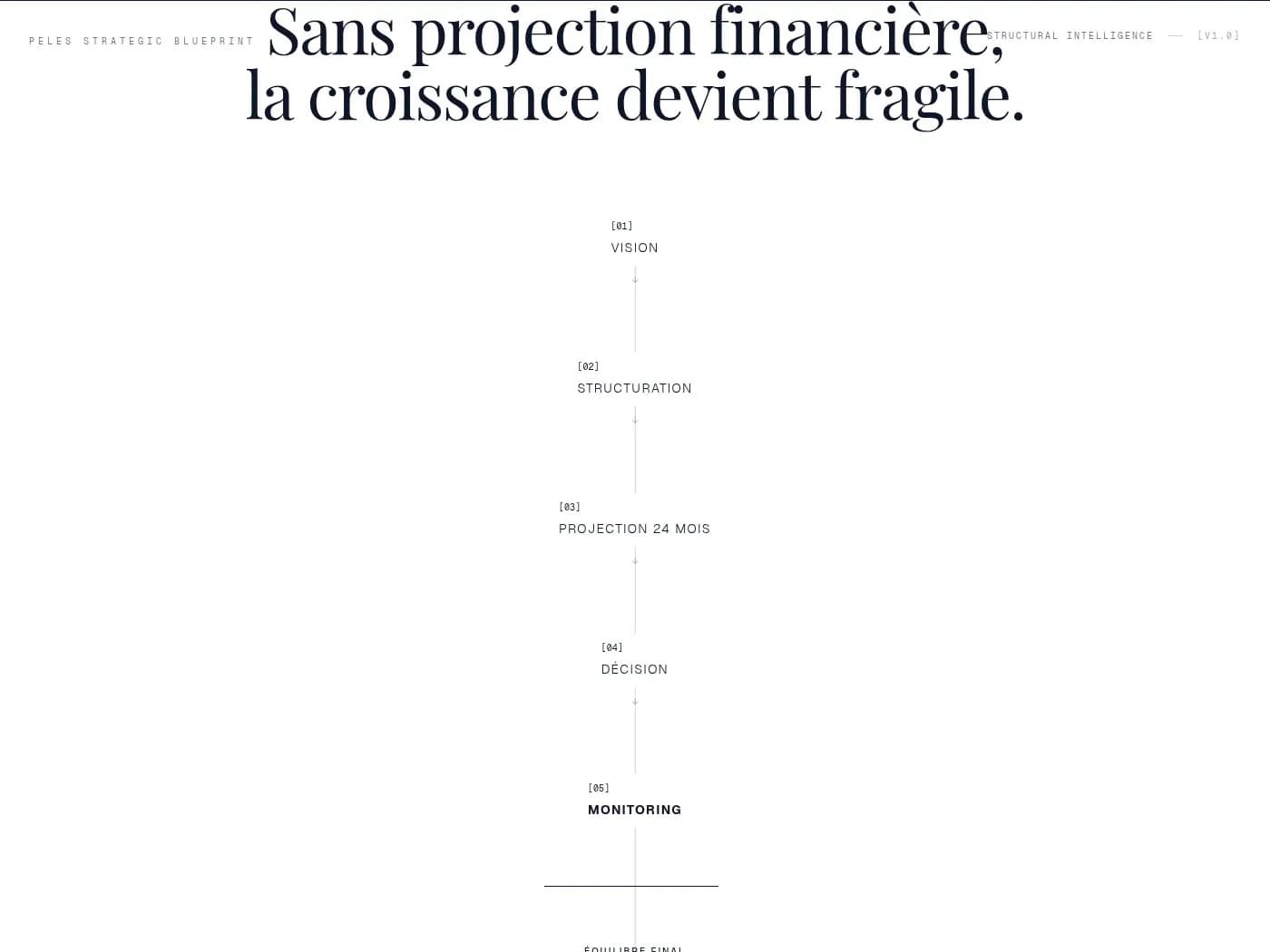 PELES Strategic Blueprint