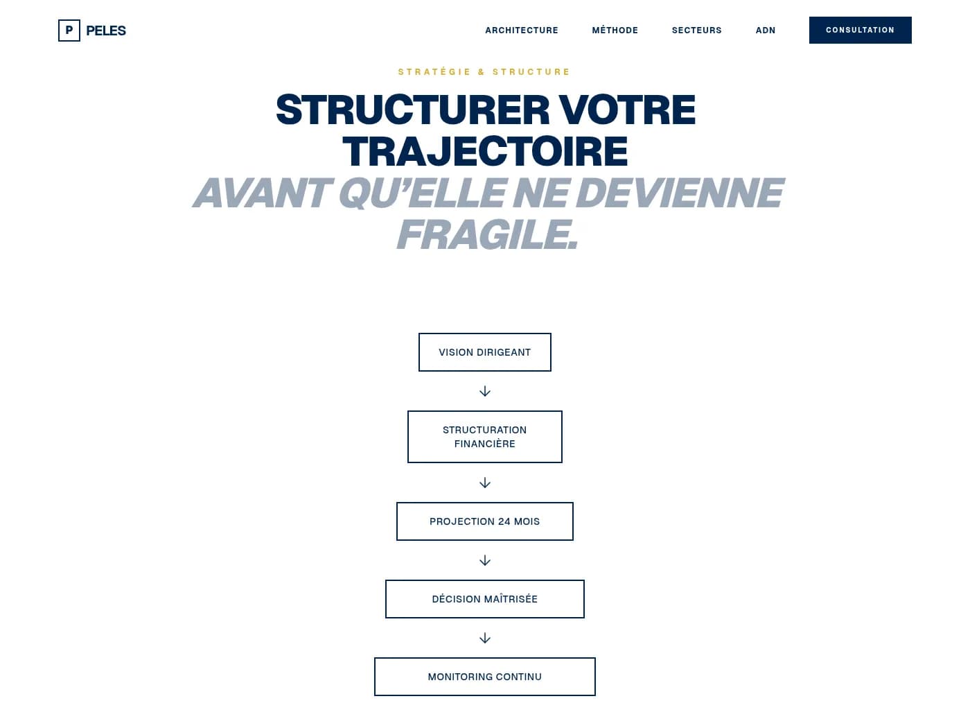 PELES Visual Storyline