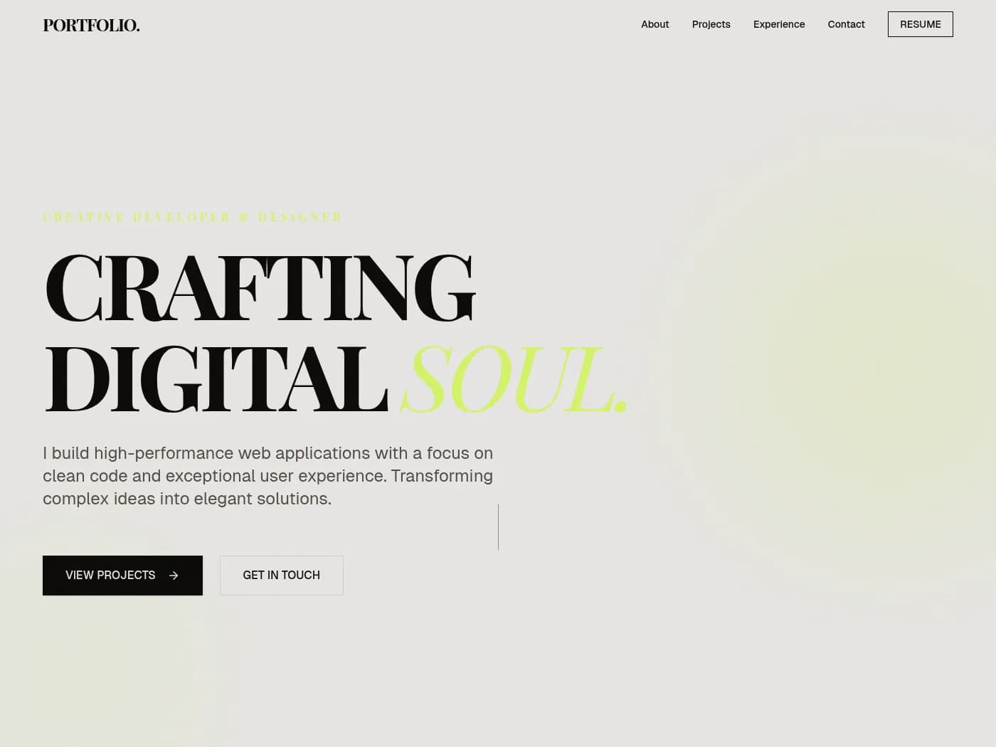 Pro Portfolio Site