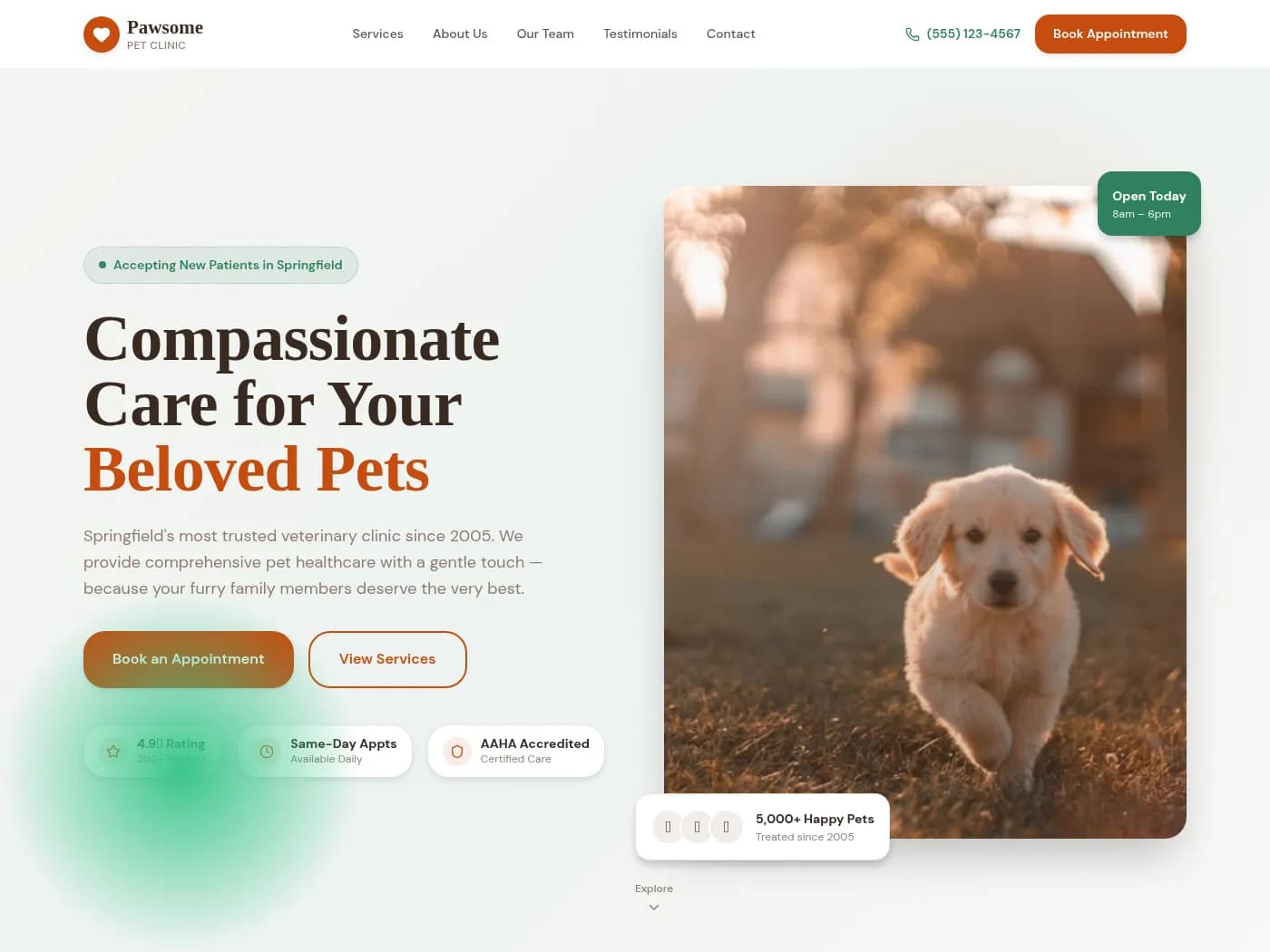 Pet Clinic SEO Site