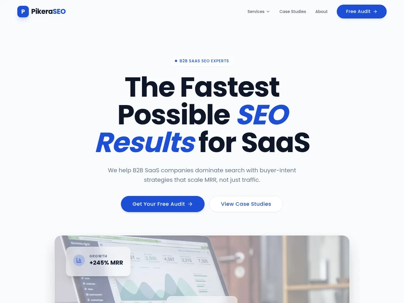Pikera SEO Landing Page