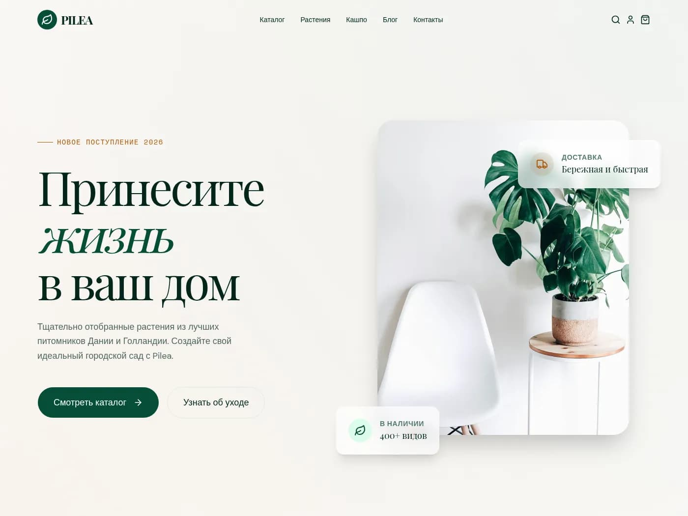 Pilea Plant Shop Revamp