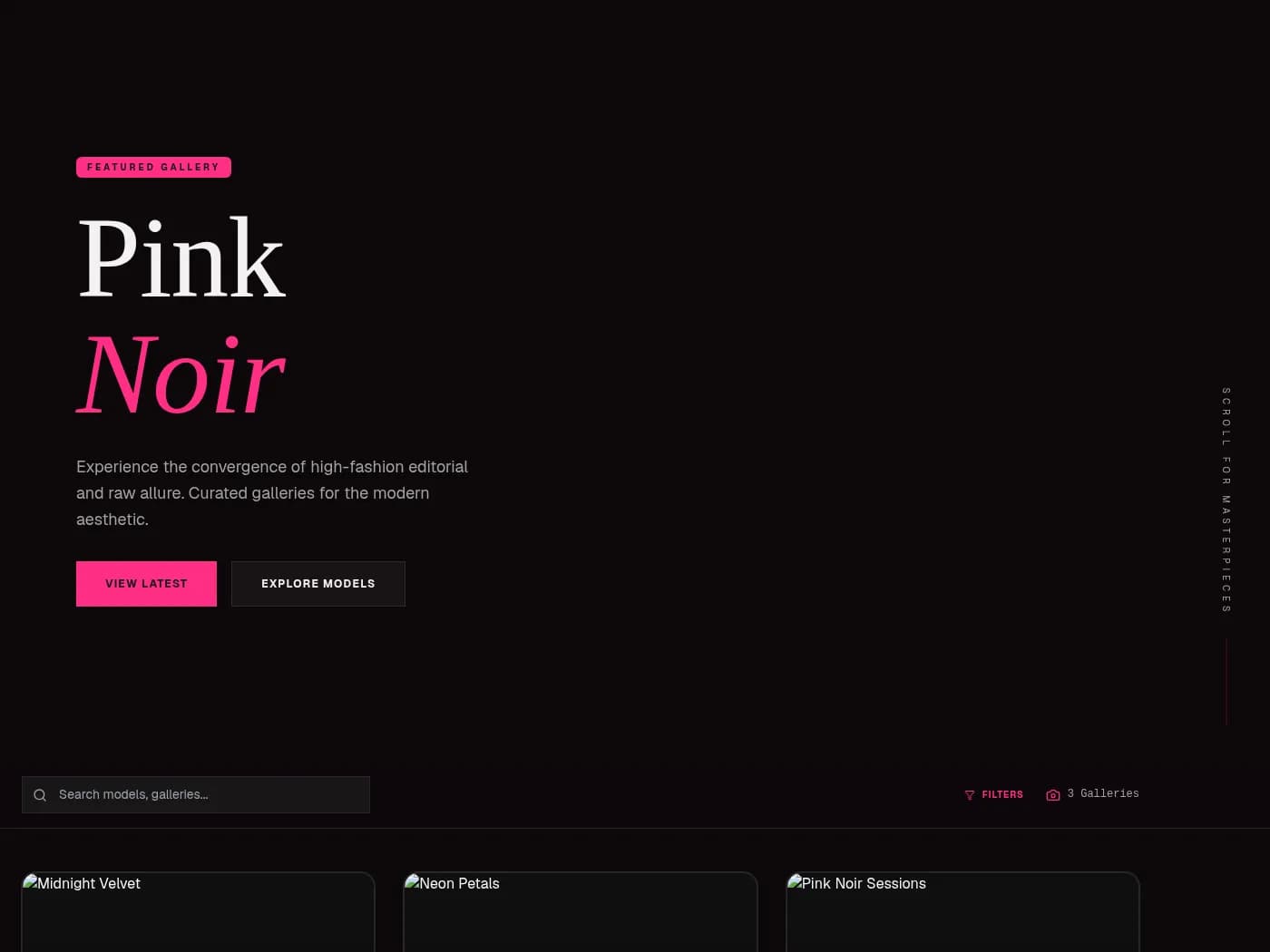 Pink Noir Galleries