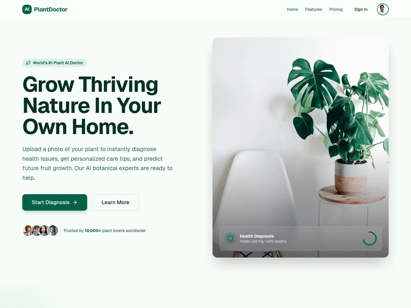 PlantDoctor Web Replica