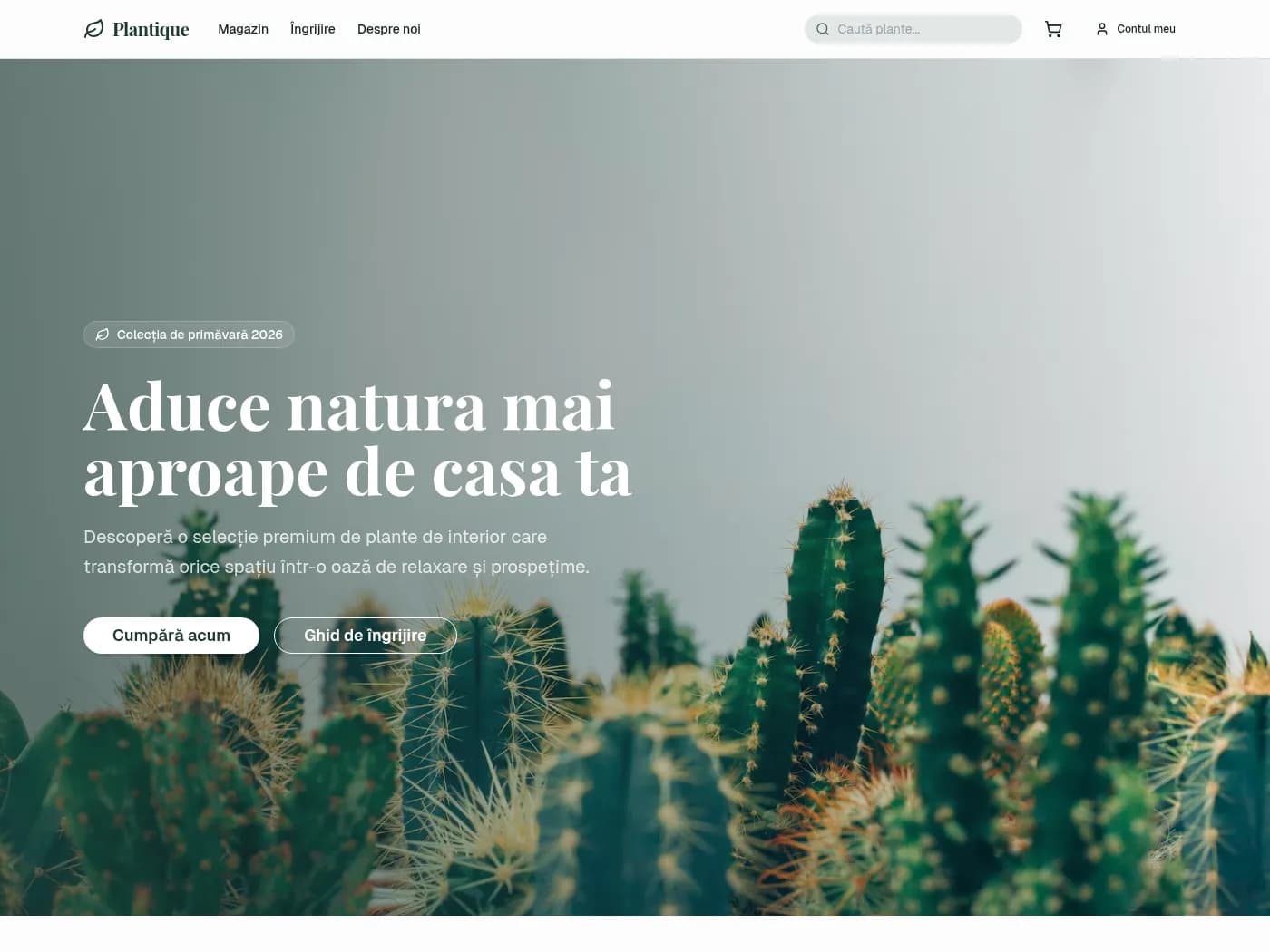 Plantique Plant Shop