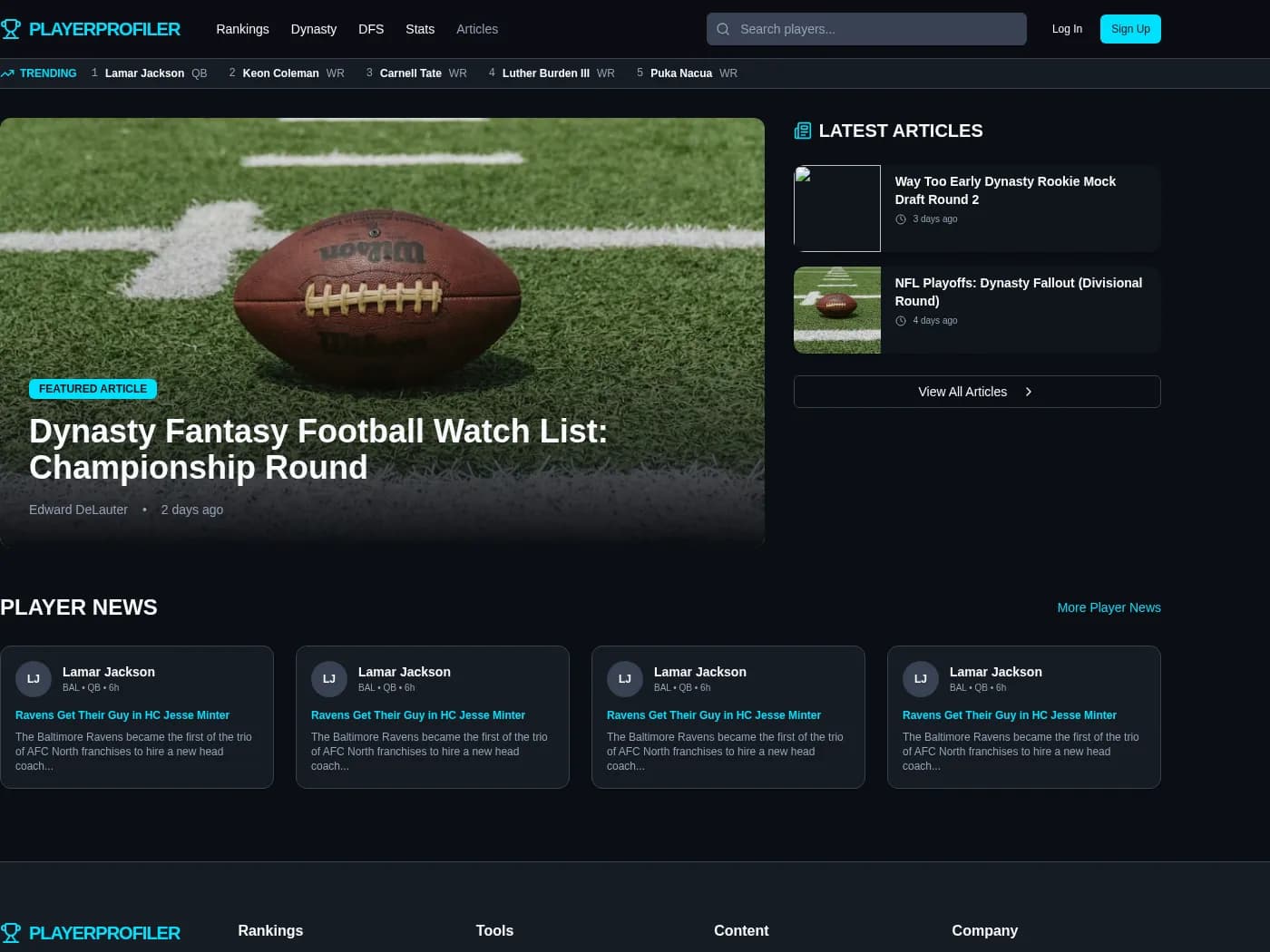 Player Profiler Clone