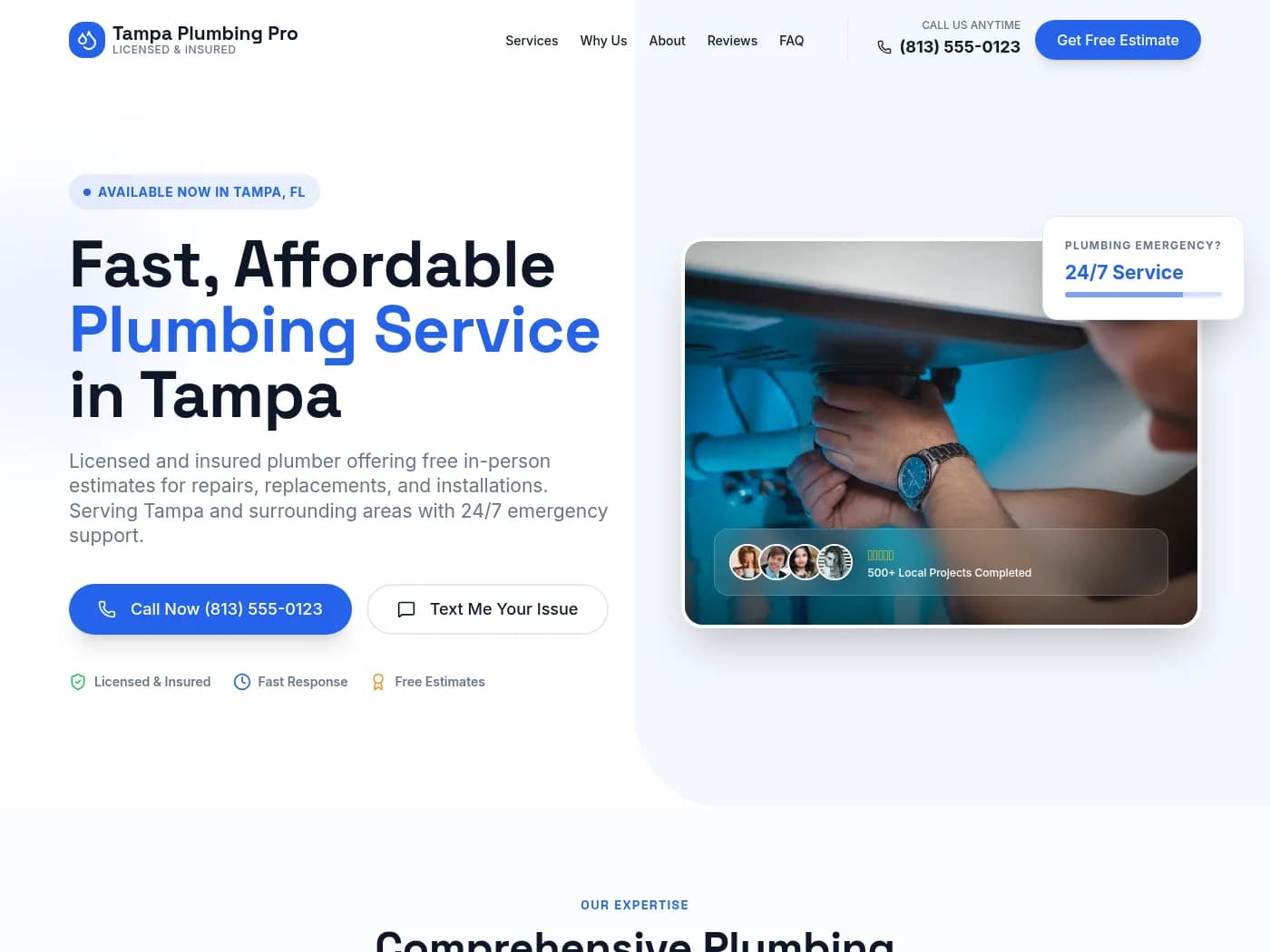 Tampa Plumbing Pro Site