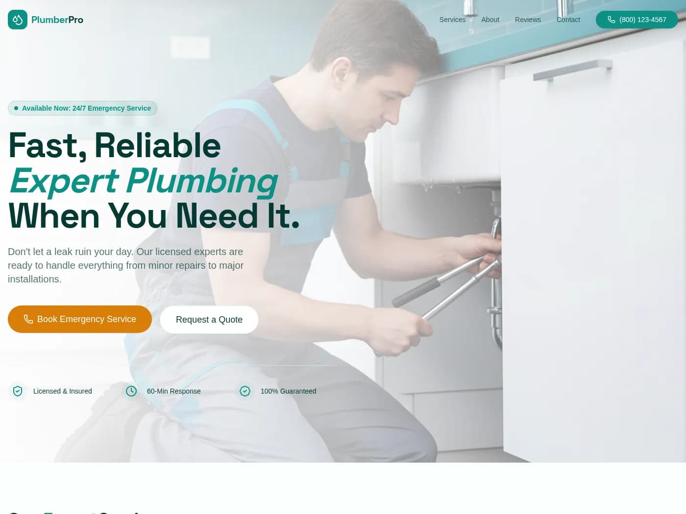 Plumber Pro Site Demo