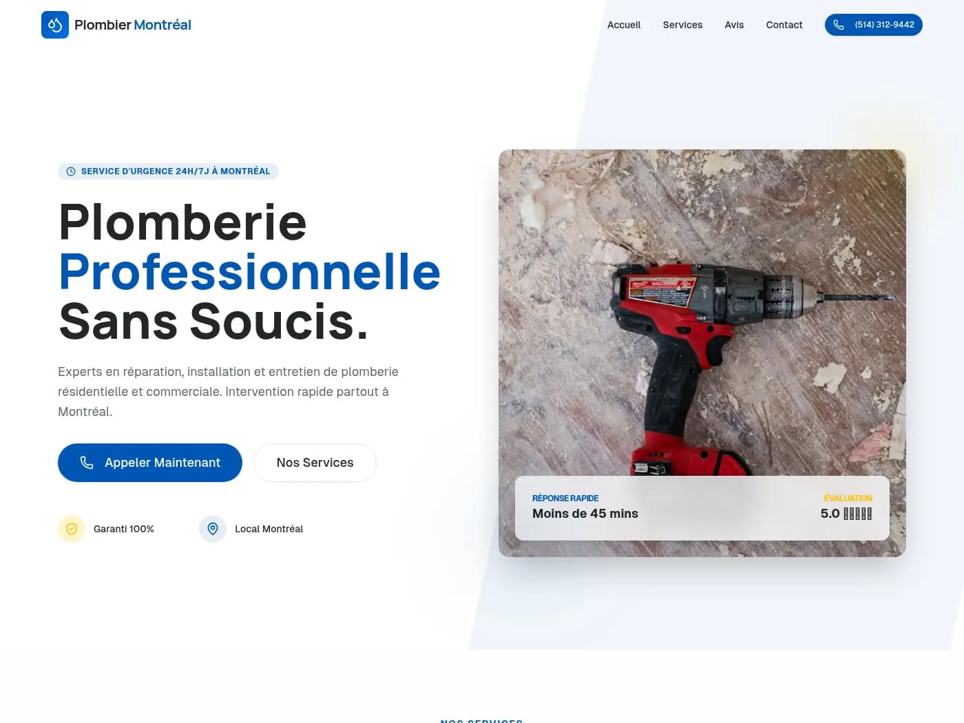 Plumber Pro Site