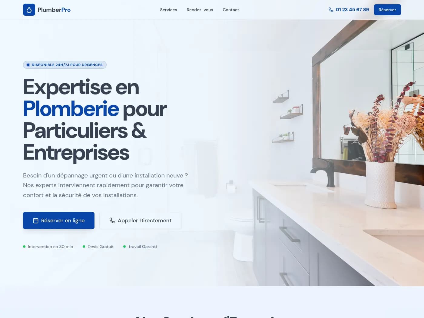 Plumber Pro Site