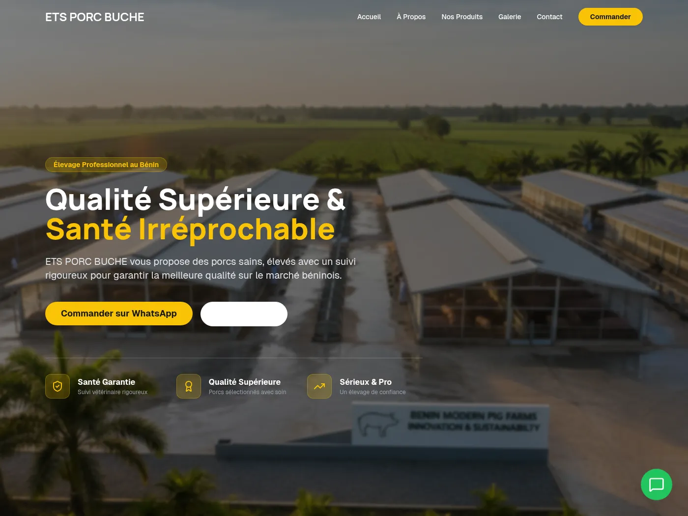 PorcBuche Web Présence