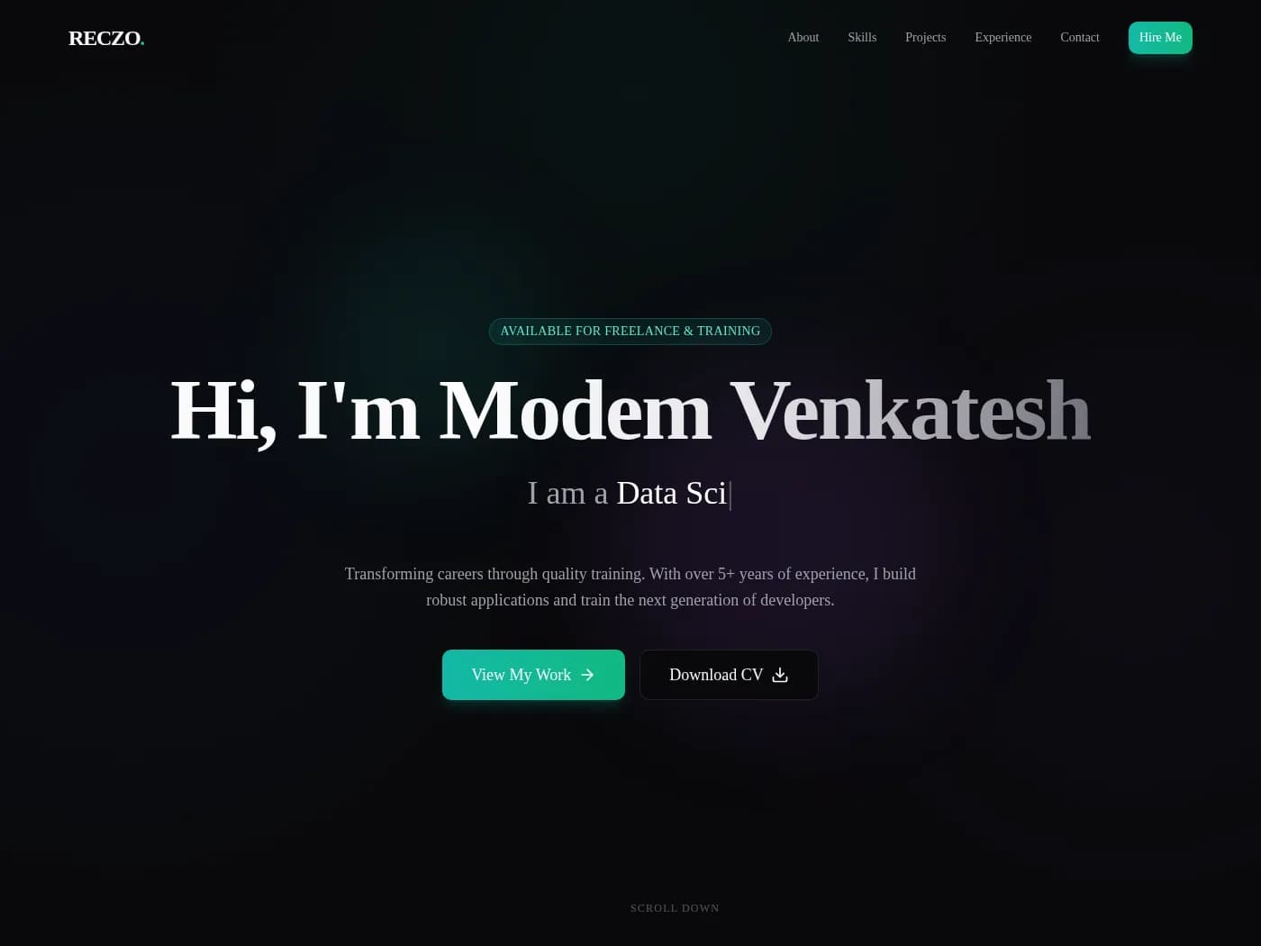 Portfolio Shine Pro