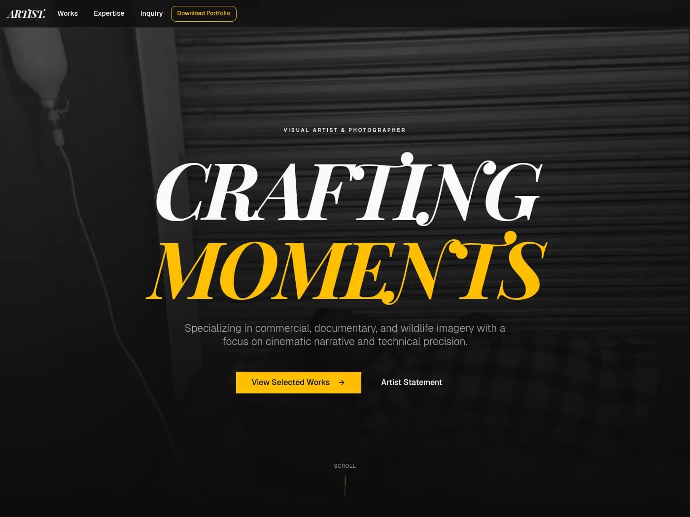 Pro Portfolio Showcase