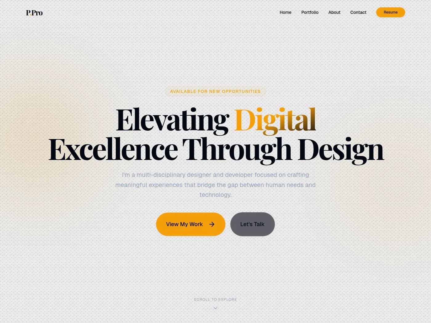 Portfolio Pro
