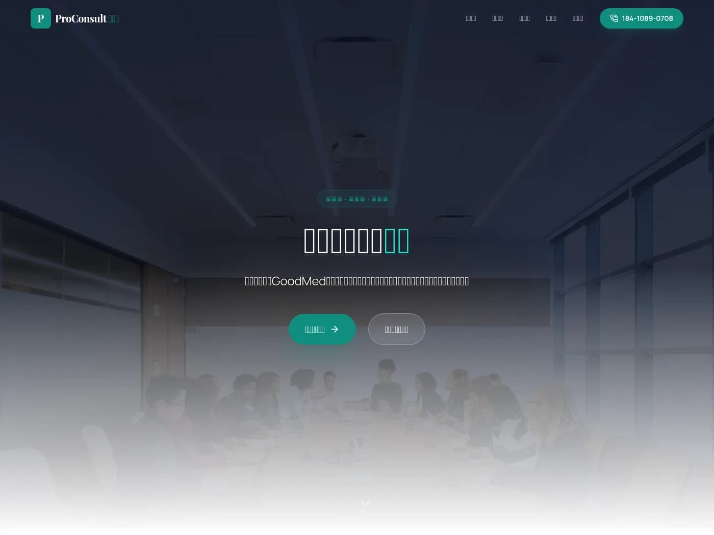 ProConsult Site
