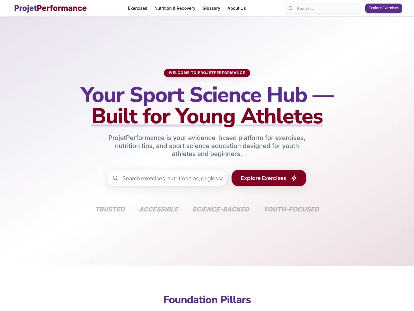 ProjetPerformance Website