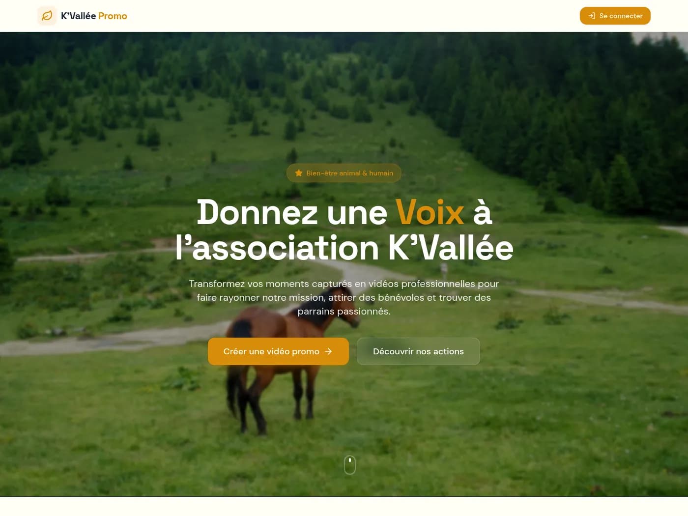 Promo Video Creator