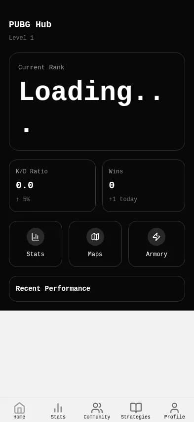 PUBG Companion Hub