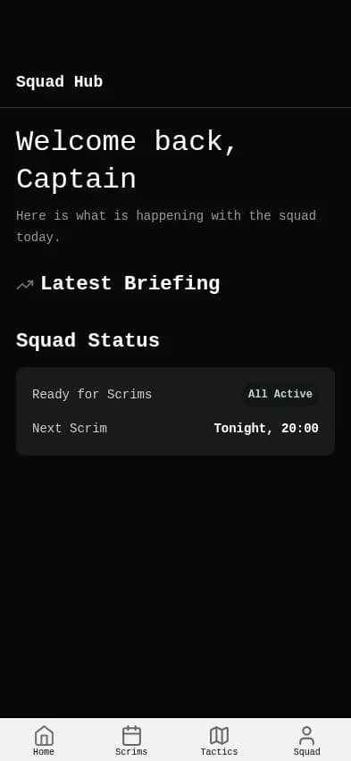 PUBG Squad Hub