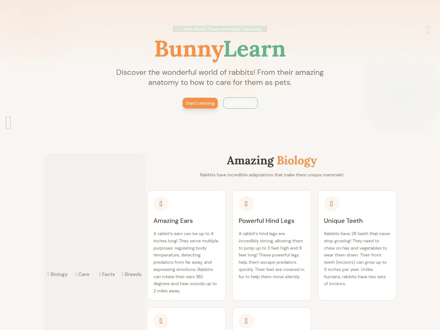 BunnyLearn