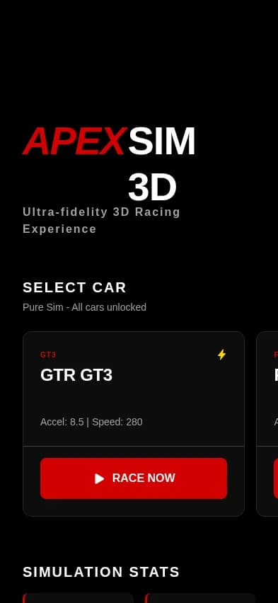 Racing Sim Experience