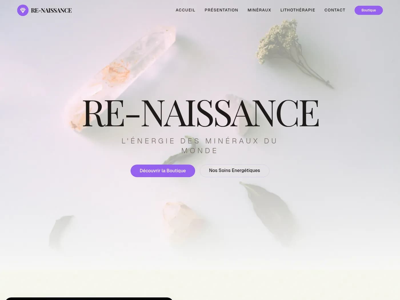 Re-NaisSance Shop Showcase