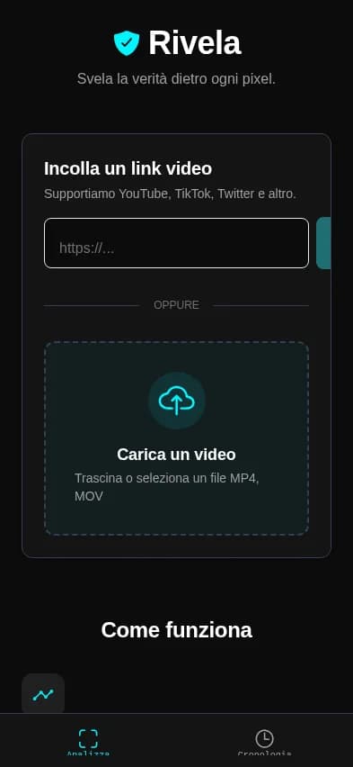 Rivela Video Detector