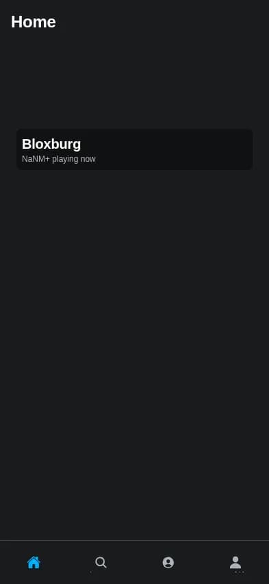 Roblox Web Playground