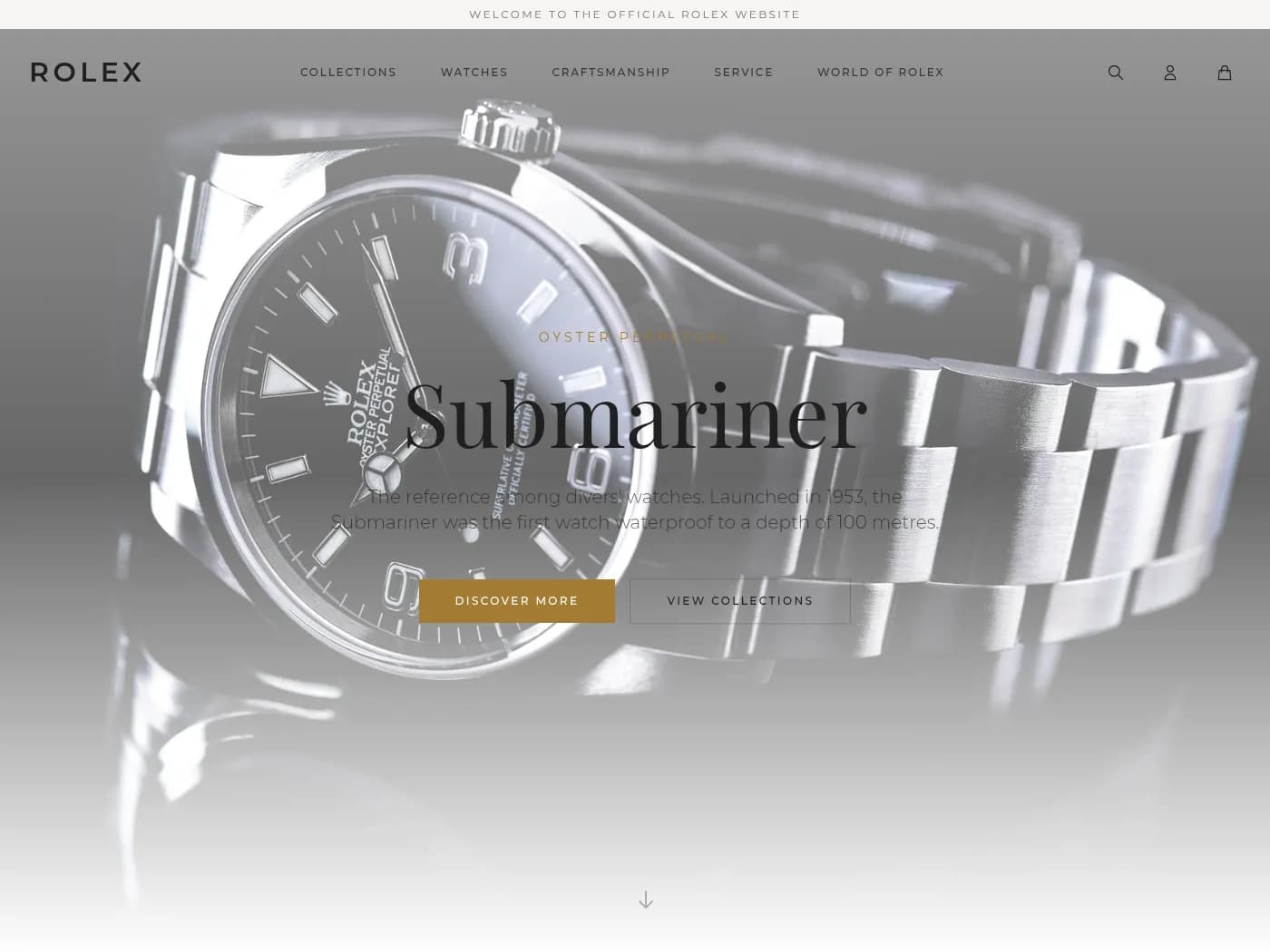 Rolex Store Clone