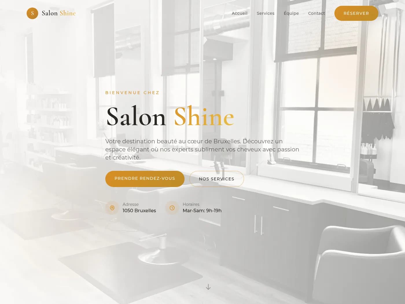 Salon Shine Landing Page