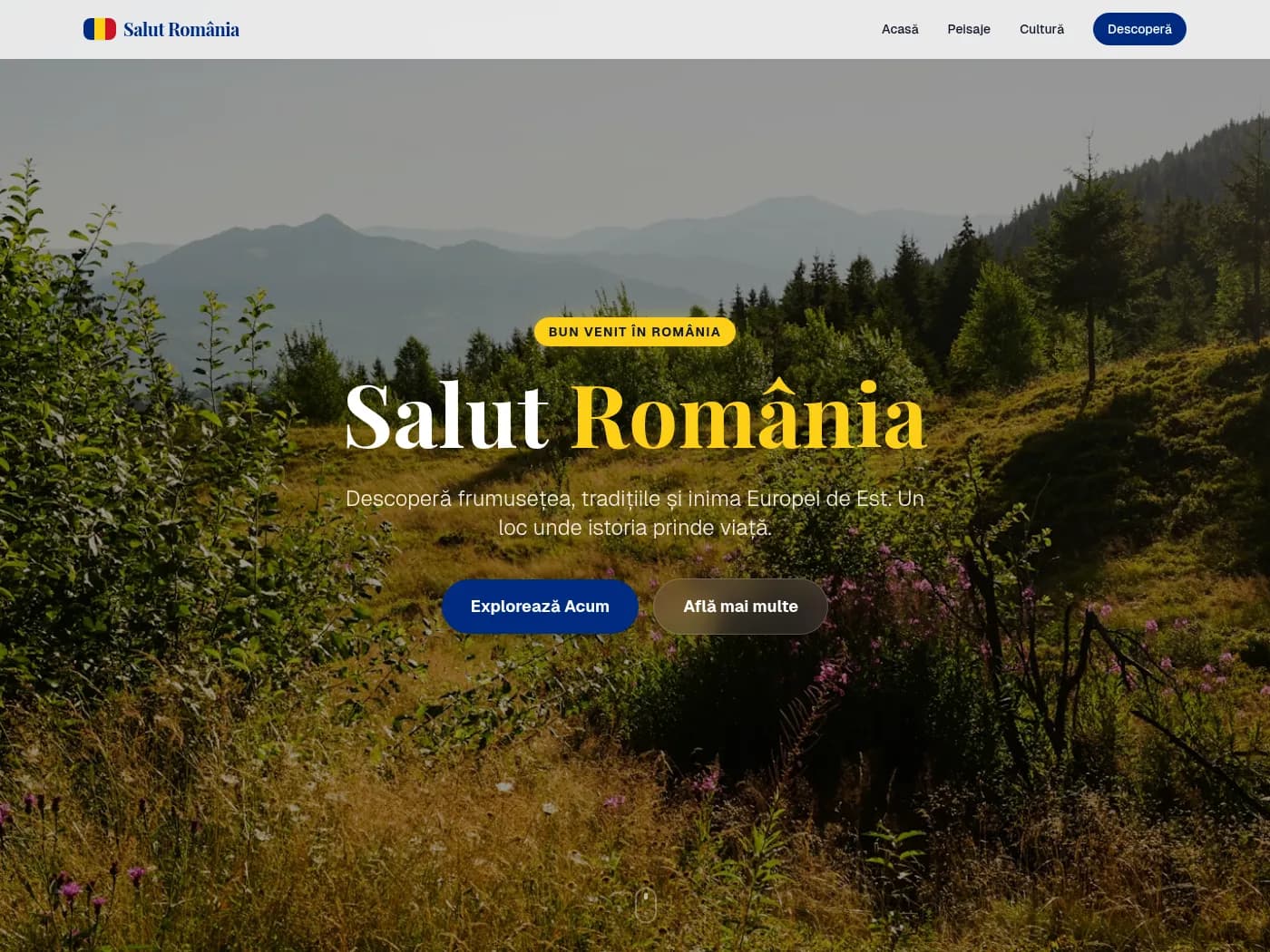Salut România