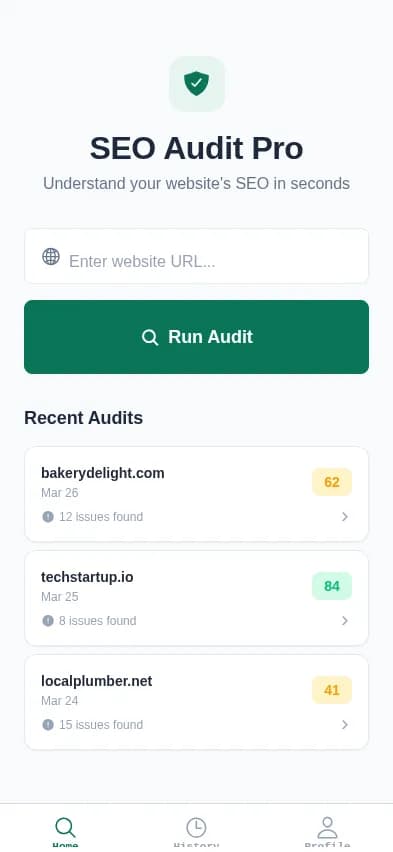 SEO Audit Pro