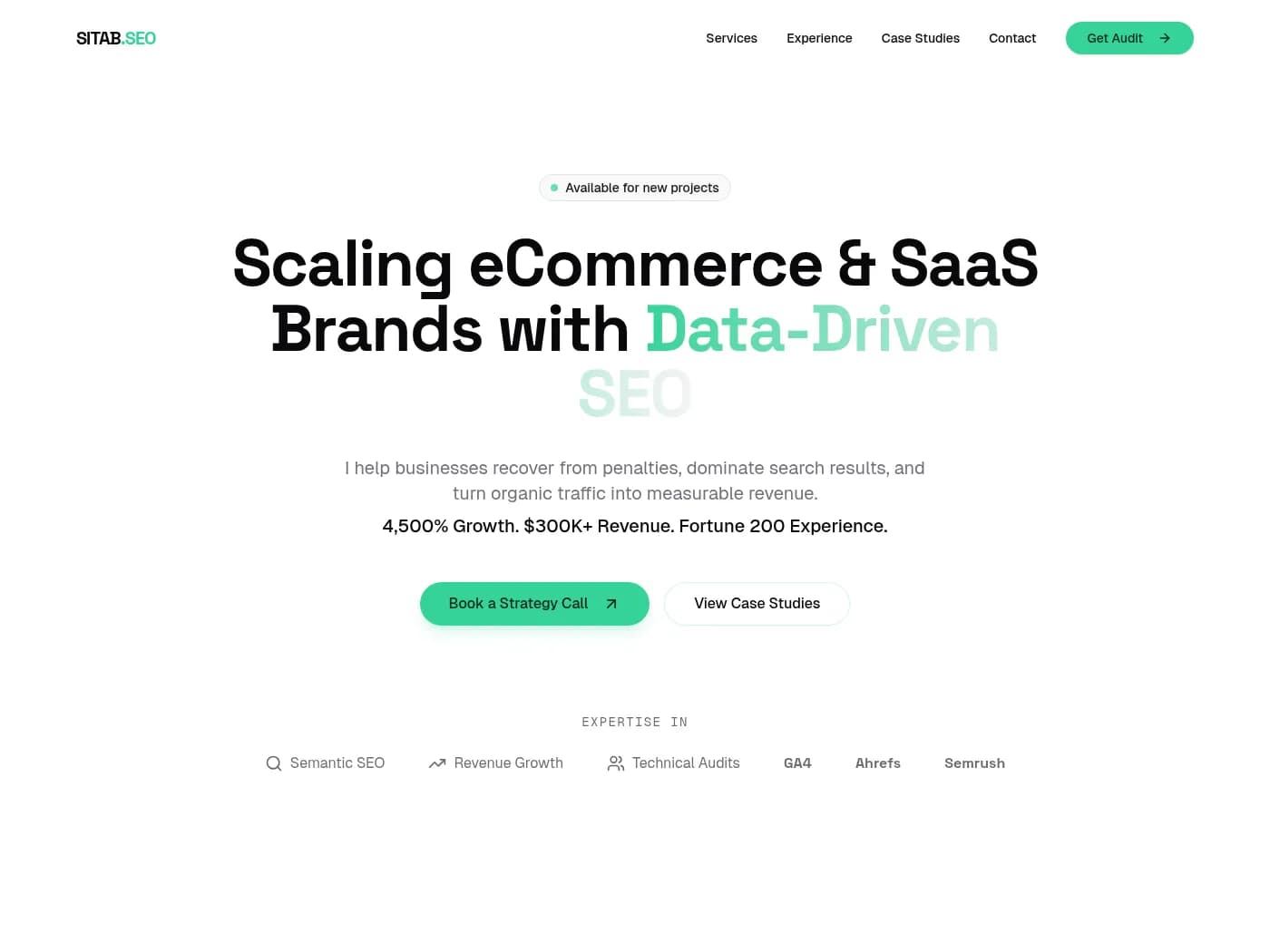 SEO Profolio OnePager